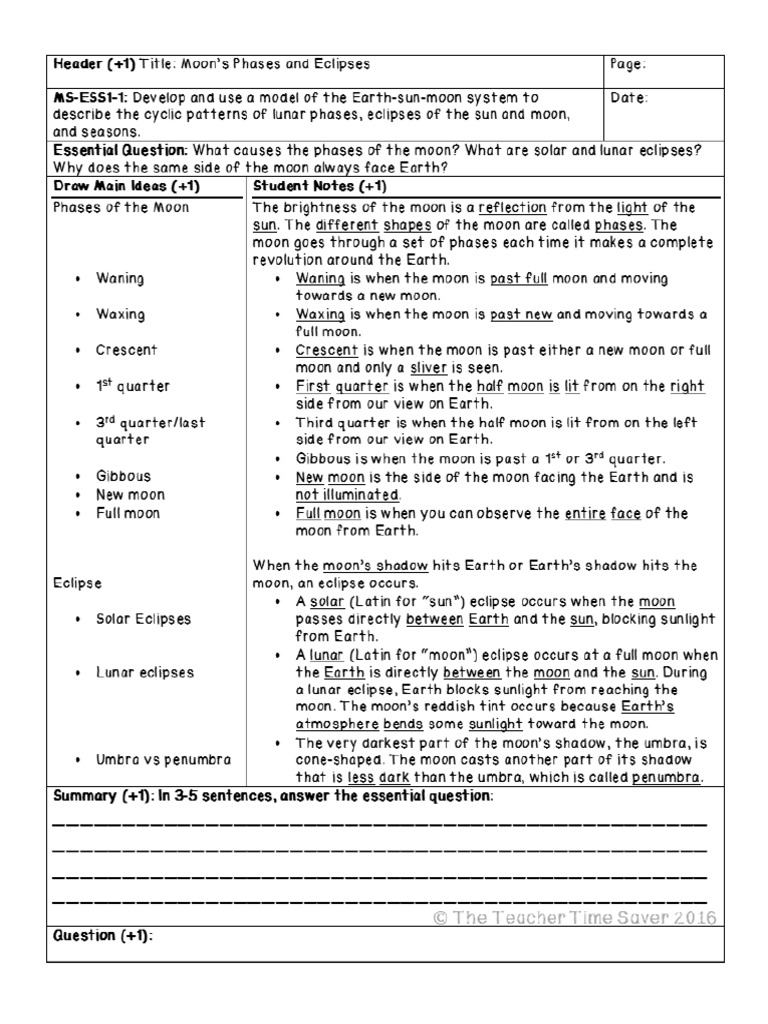 Cornell Notes and Activity | PDF