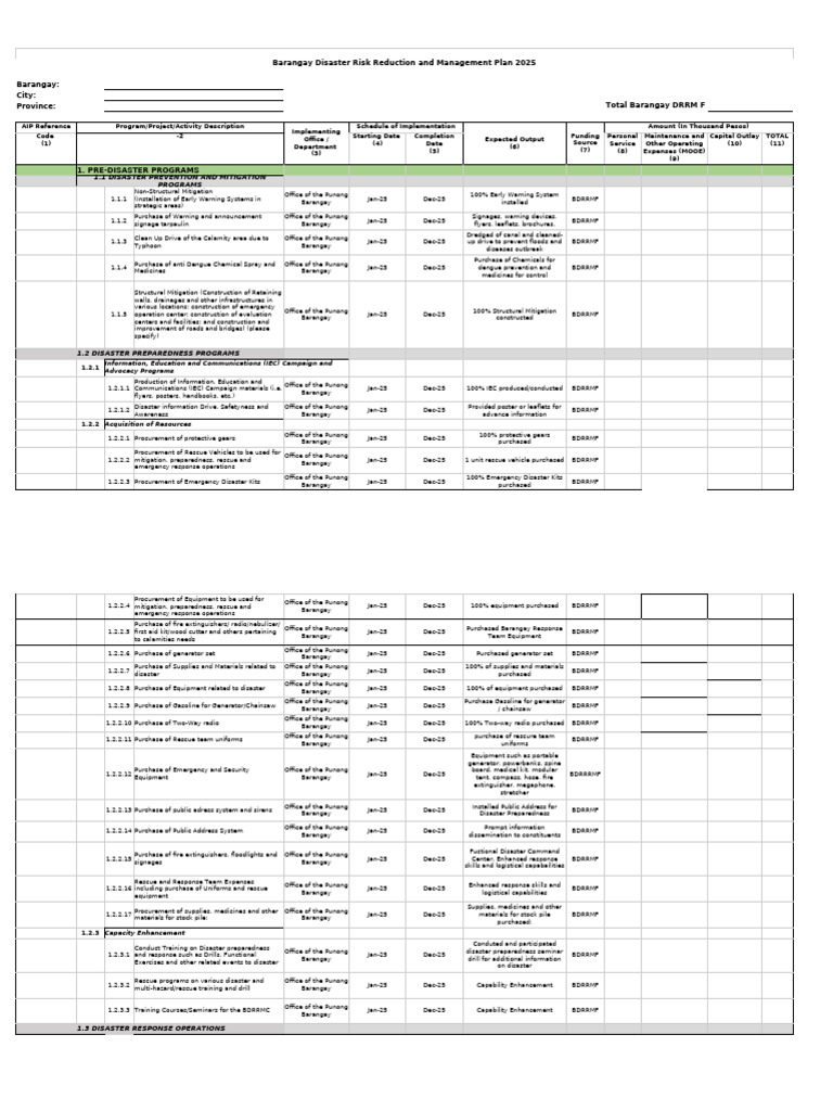 Sample Brgy DRRM Plan 2025 | PDF | Emergency Management | Emergency