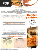 Experimento Tinta Invisible Con Curcuma - 20250203 - 094212 - 0000 ...