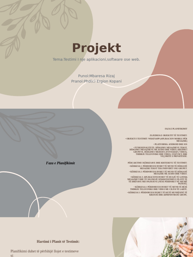 Projekt Mbaresa Rizaj | PDF