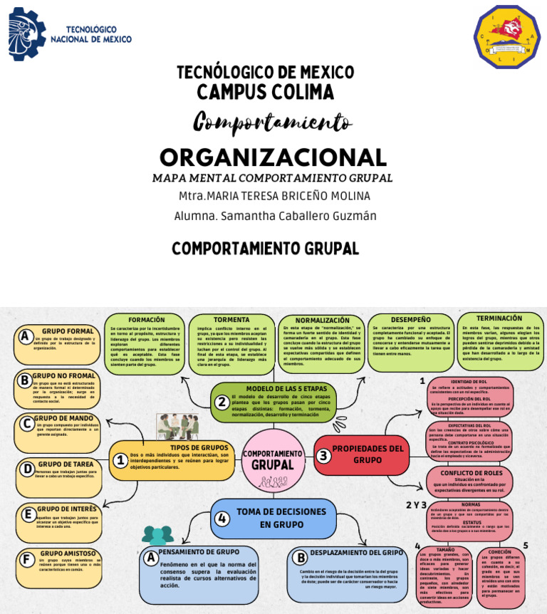 Mapa Mental Comportamiento Grupal | PDF | Comportamiento | Sicología