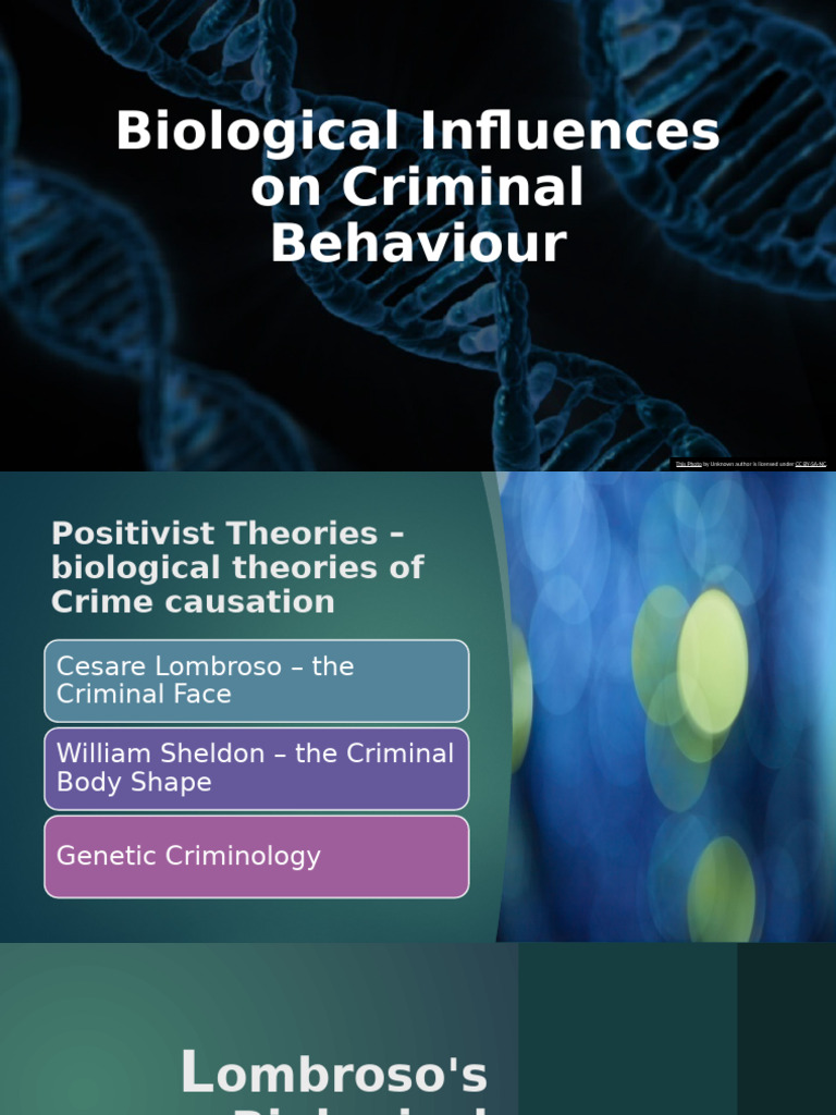 Biological Factors in Criminal Behavior | PDF | Twin | Criminology