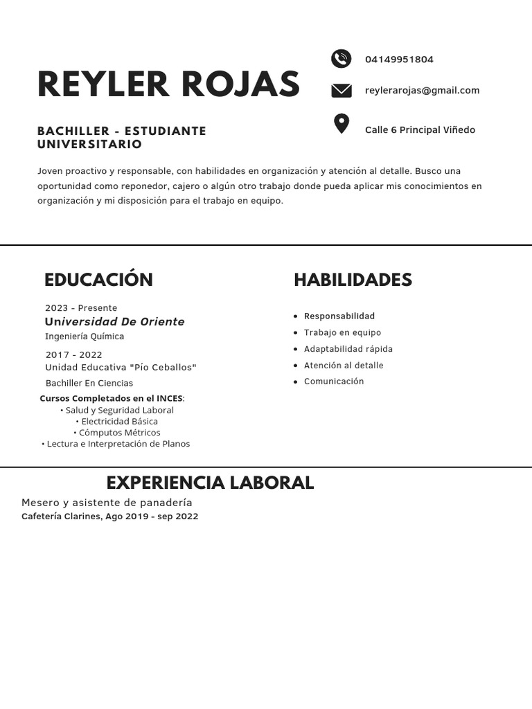 Curriculum Profesional Sin Foto Sencillo Blanco y Negro_20250209_170436 ...