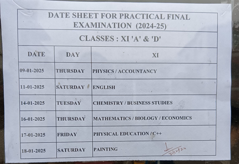 Practicals. Date Sheet | PDF