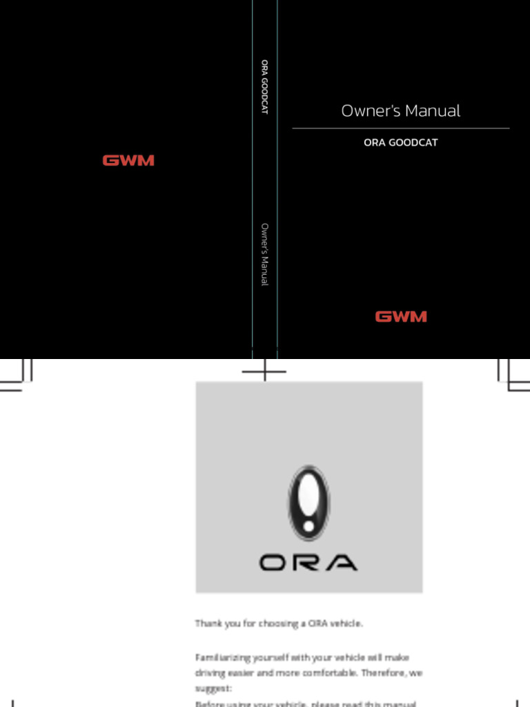 ORA Vehicle User Manual Overview | PDF | Airbag | Brake