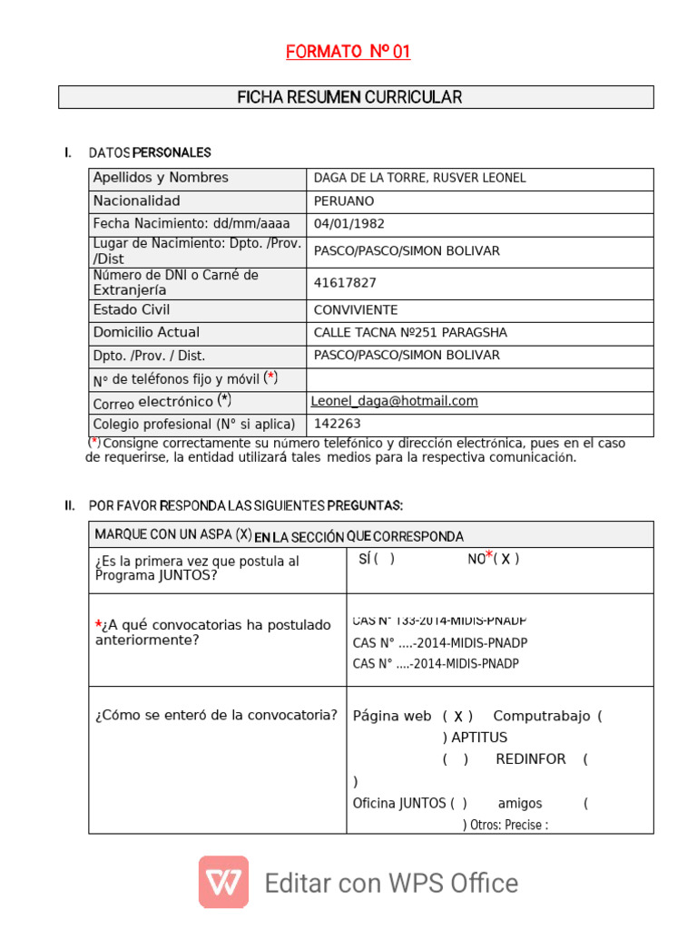 FORMATO No 01 FICHA RESUMEN CURRICULAR I | PDF