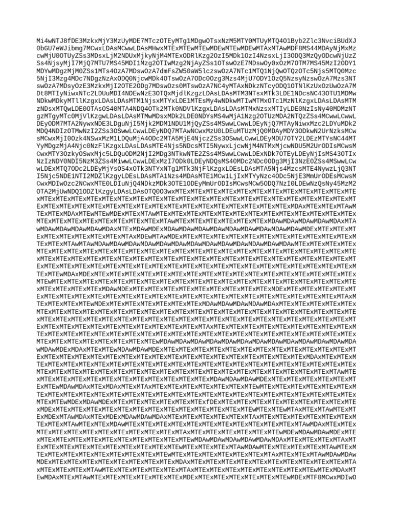 Professor Turtle Bakery | PDF