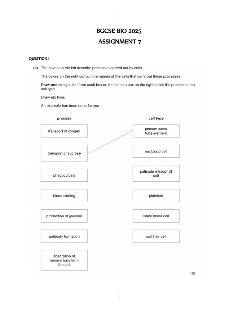 BGCSE BIO 2025 Assignment 7 | PDF