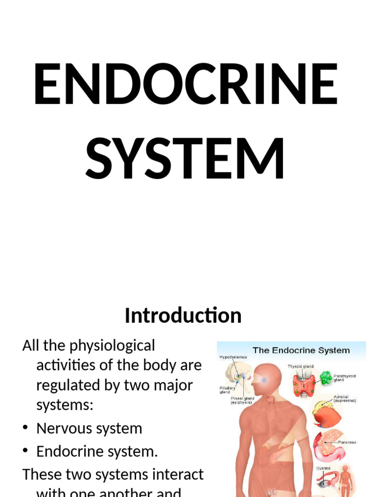 Overview of the Endocrine System | PDF | Adrenal Gland | Pituitary Gland