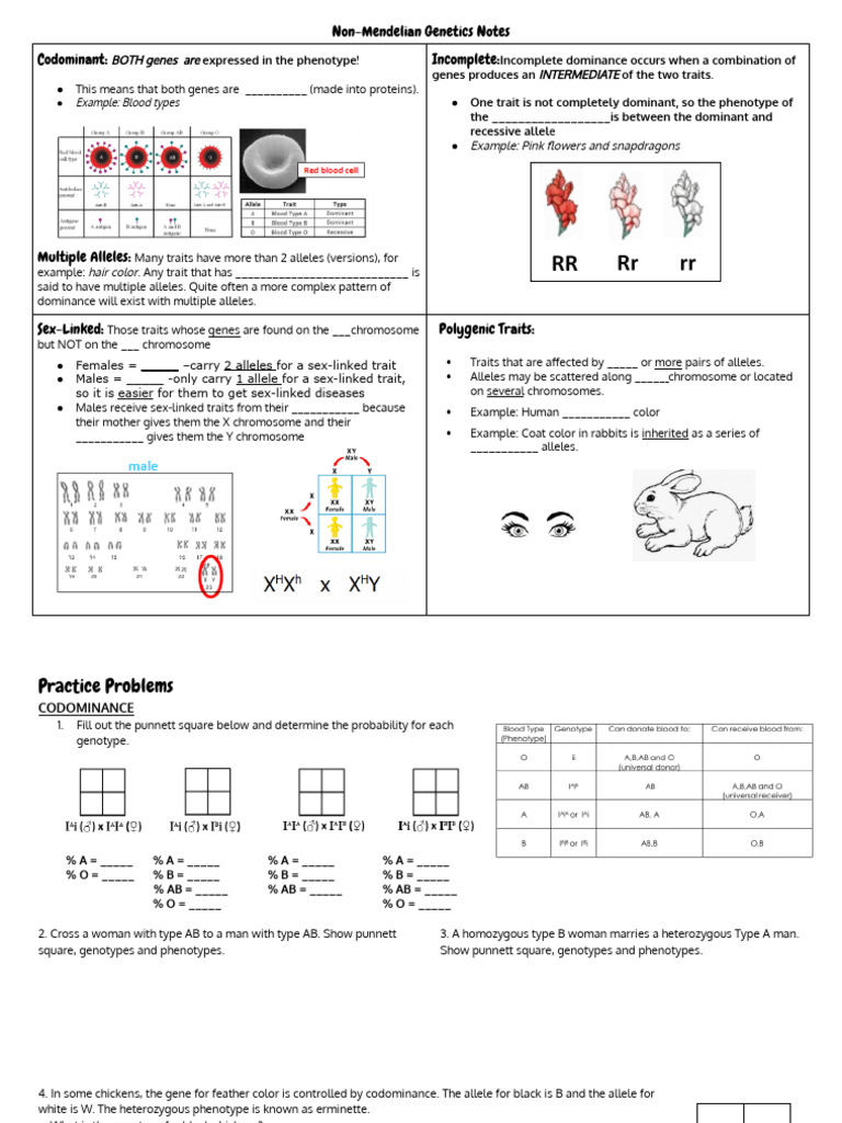 Non-Mendelian Genetics Notes | PDF | Dominance (Genetics) | Genotype