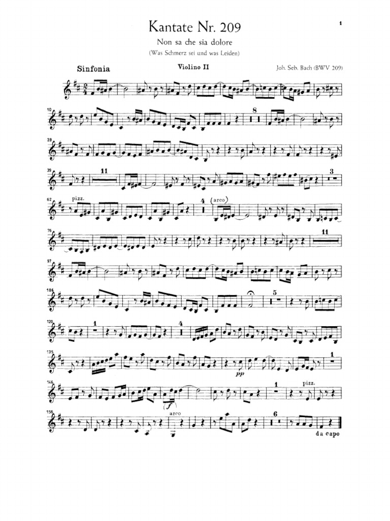 BWV 209-Violins II | PDF