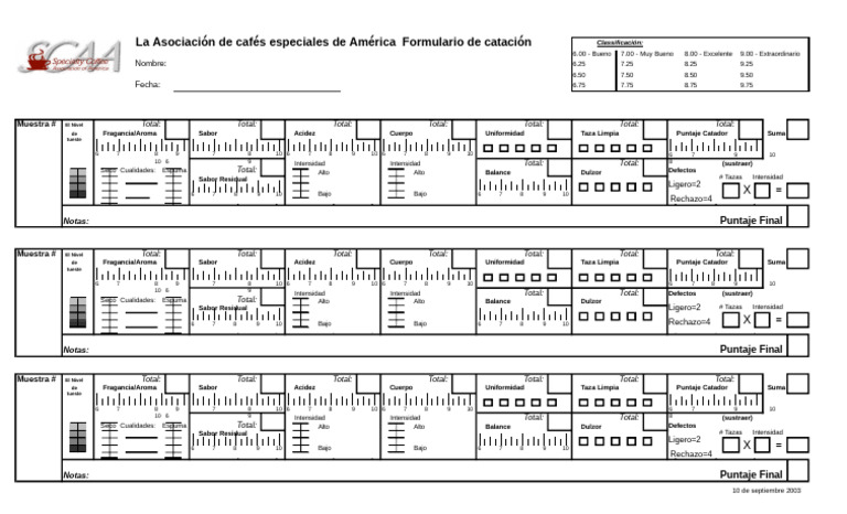 Formato Scaa Esp | PDF
