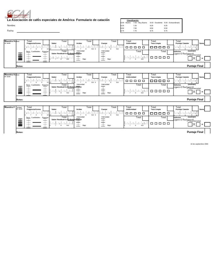 Formato Scaa Esp | PDF