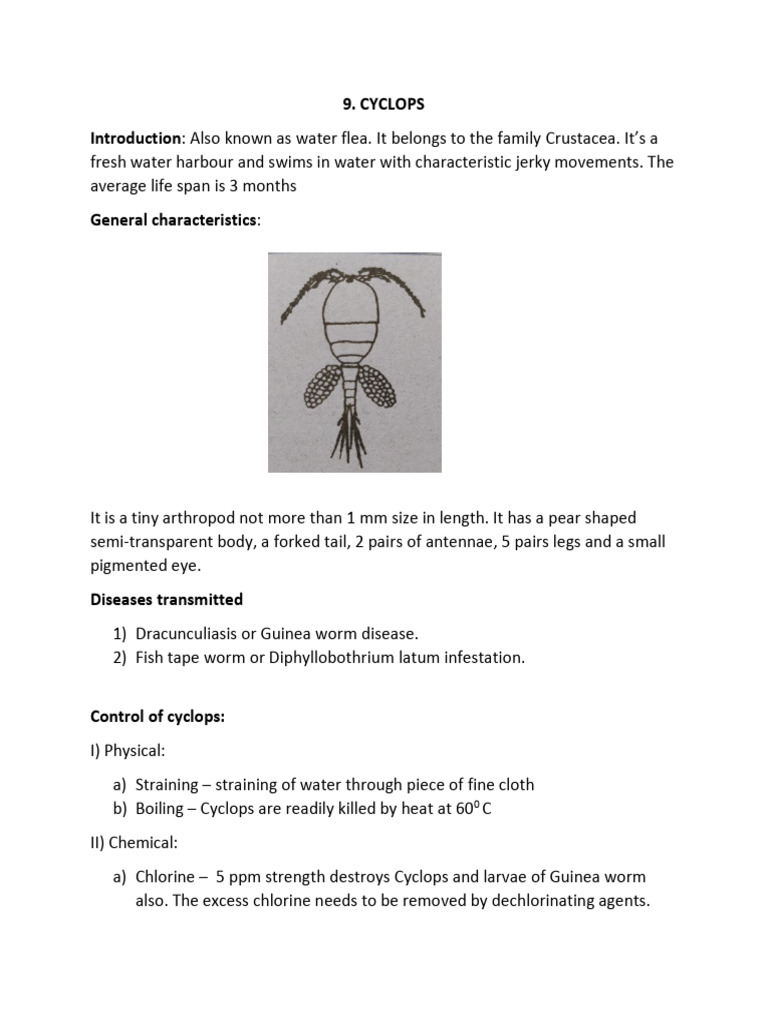 9 Cyclops | PDF