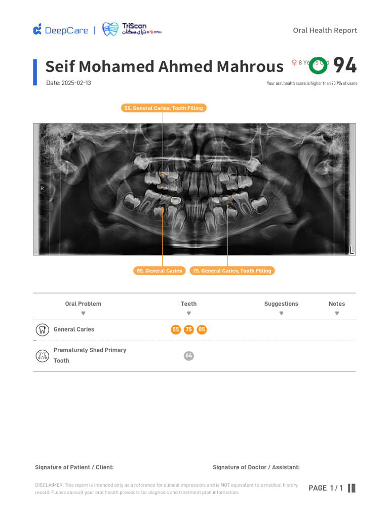 Seif Mohamed Ahmed Mahrous Pan AI | PDF
