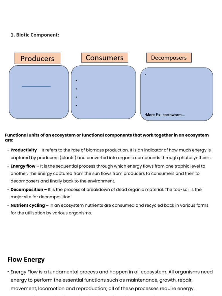 Structure of Ecosystem and Ecological Succession | PDF | Food Web | Ecosystem