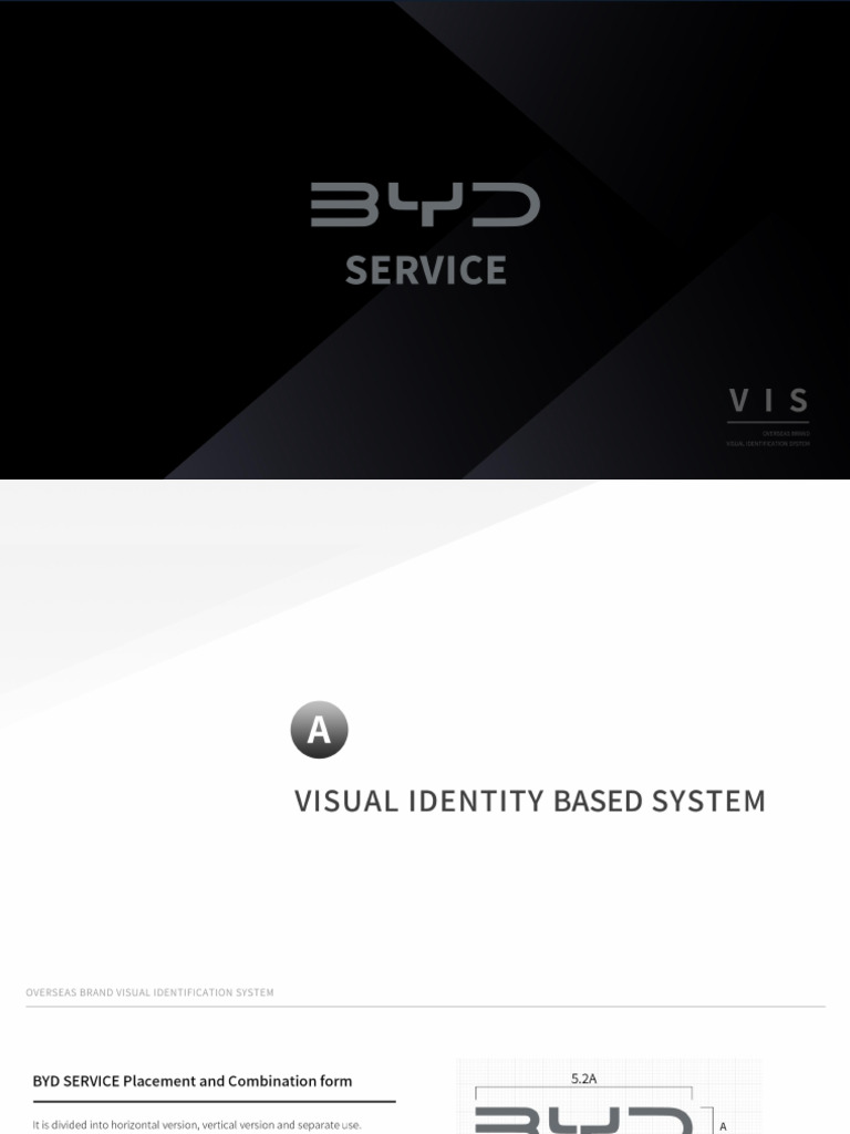 BYD Oversea VI Standard 20230301 | PDF