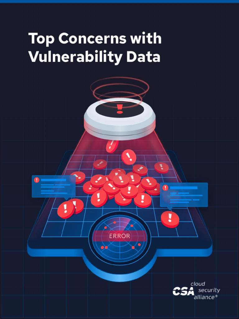 Top Concerns With Vulnerability Data 20241108 | PDF | Information Technology | Computing