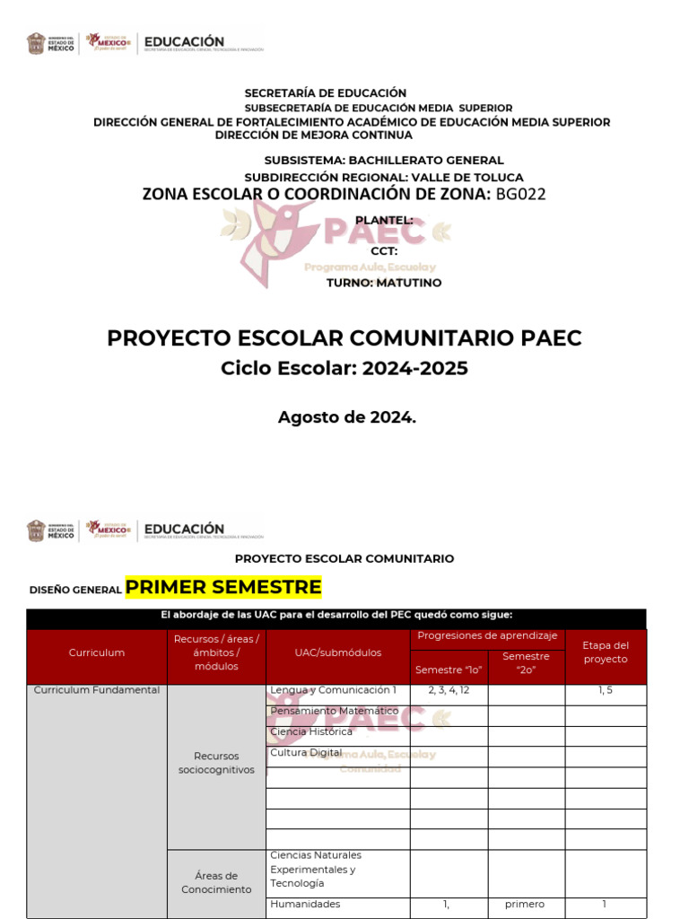 FORMATO OFICIAL PARA EL DESARROLLO DEL PEC ok MATUTINO 24-25 ...