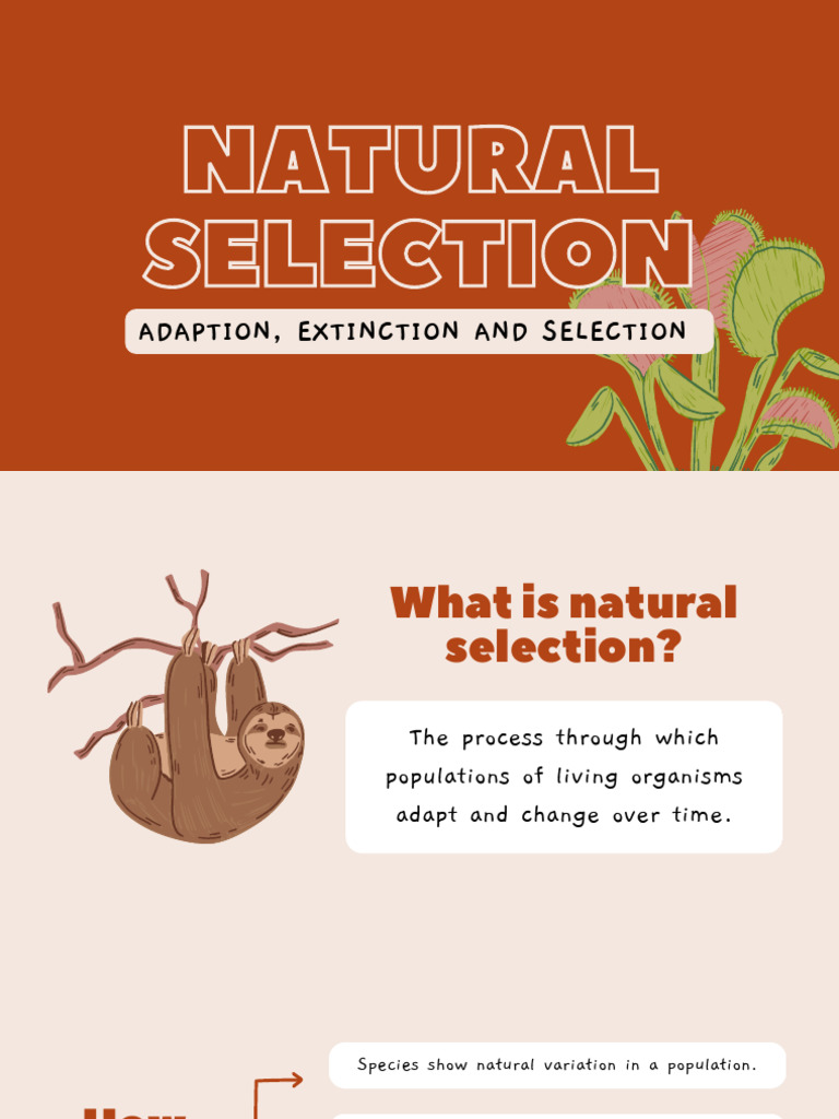 Natural Selection Quiz (1) | PDF | Genotype | Natural Selection