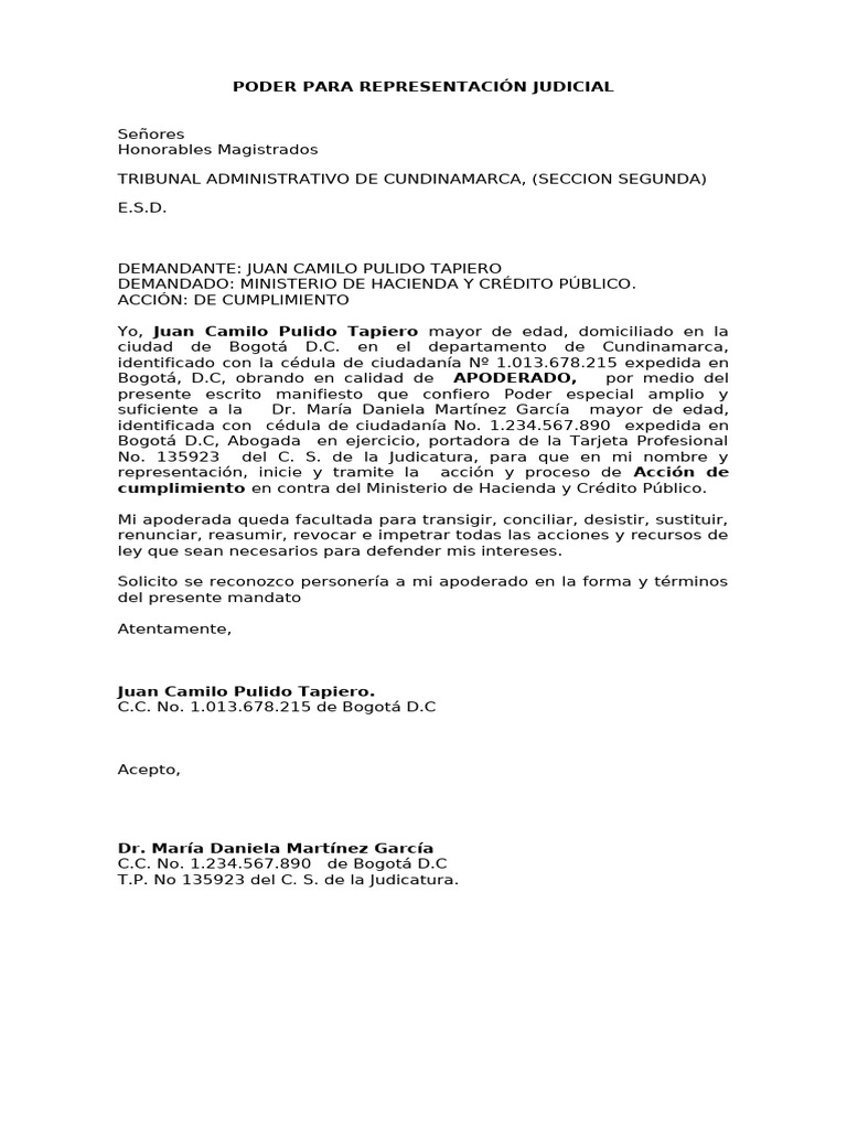 Modelo de Minuta de Poder para Abogado Iniciar Proceso | PDF