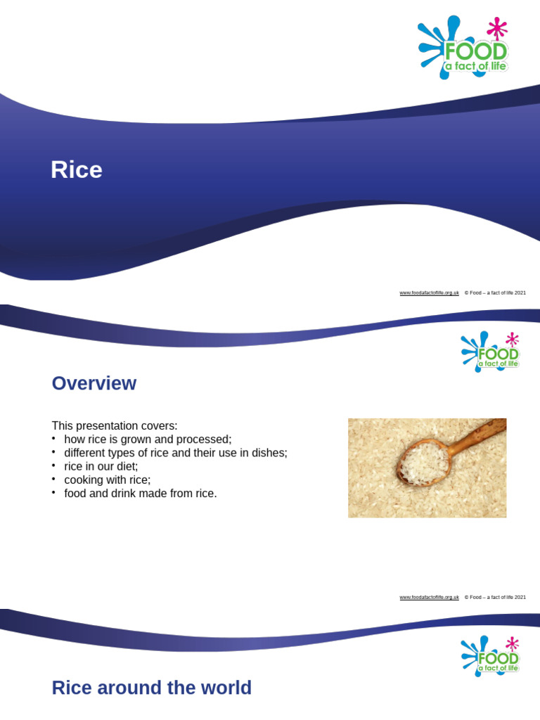 Rice 1416 Pptfc | PDF | Rice | Cereals