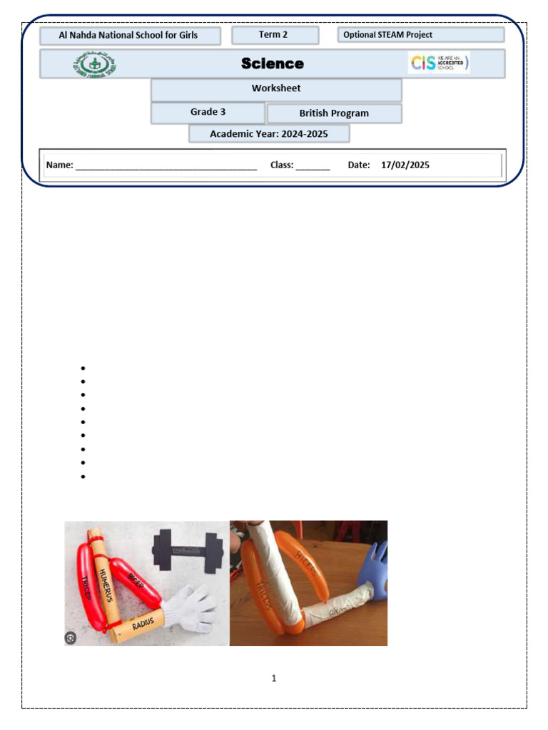 Gr3 - British - Optional - STEAM - Activity | PDF