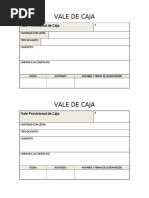 Formato de Vale Provisional de Caja | PDF