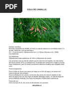 Beneficios y usos de la curarina | PDF | Diálisis | Riñón