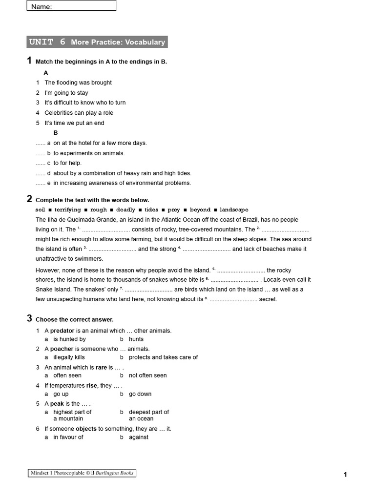 06mindset1 VocabGram MorePrac6 | PDF | Predation | Weather