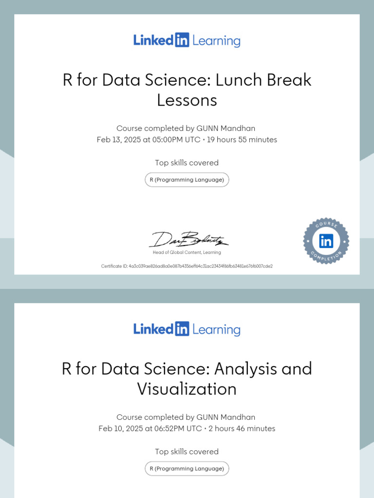 BCA2302243 R Programming Linkedin | PDF