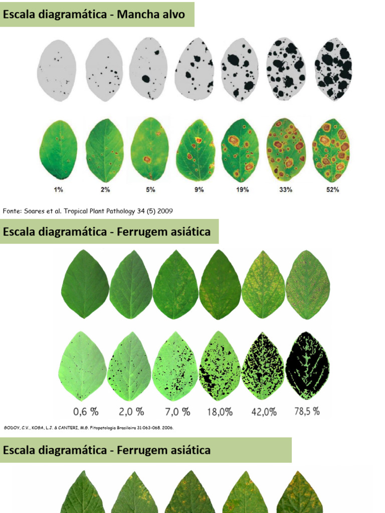 Escalas Severidade - Soja | PDF