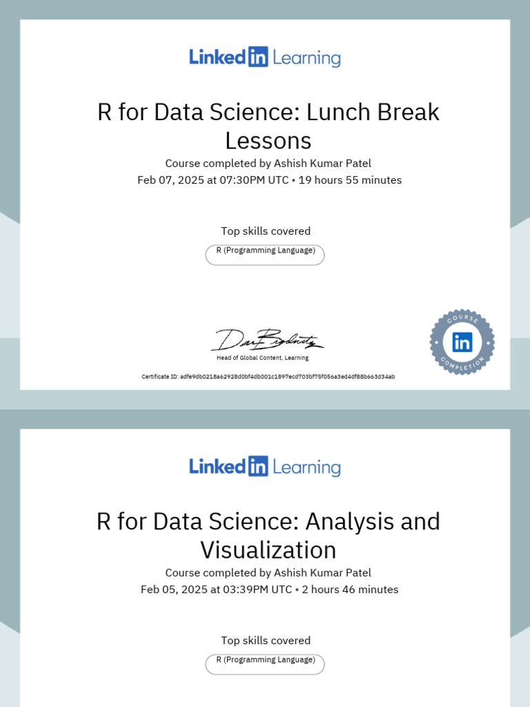 BCA2302324 R Programming LinkedIn PDF | PDF