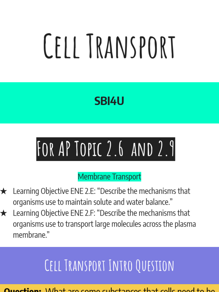 SBI 4U - Cell Transport and Osmosis - Tonicity | PDF | Cell Membrane ...