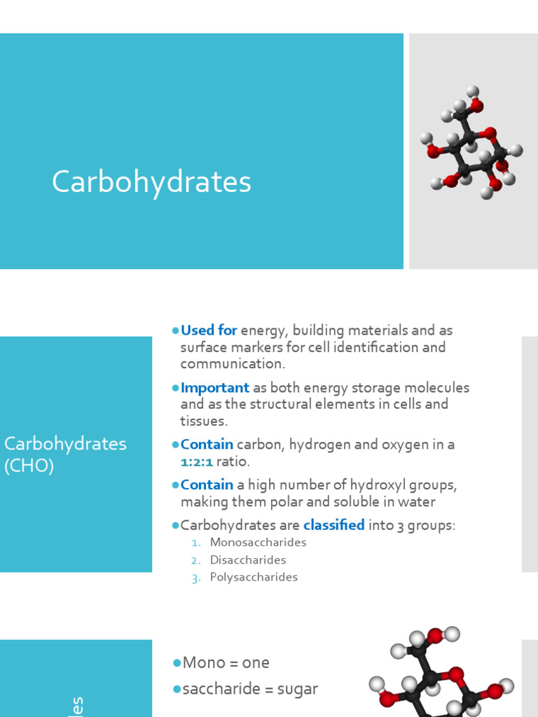Note - Carbohydrates | PDF | Carbohydrates | Polysaccharide