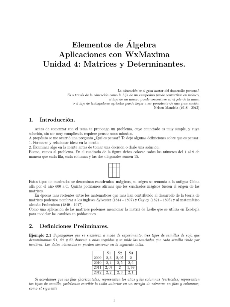4 - Matrices y Determinantes | PDF | Matriz (Matemáticas) | Determinante
