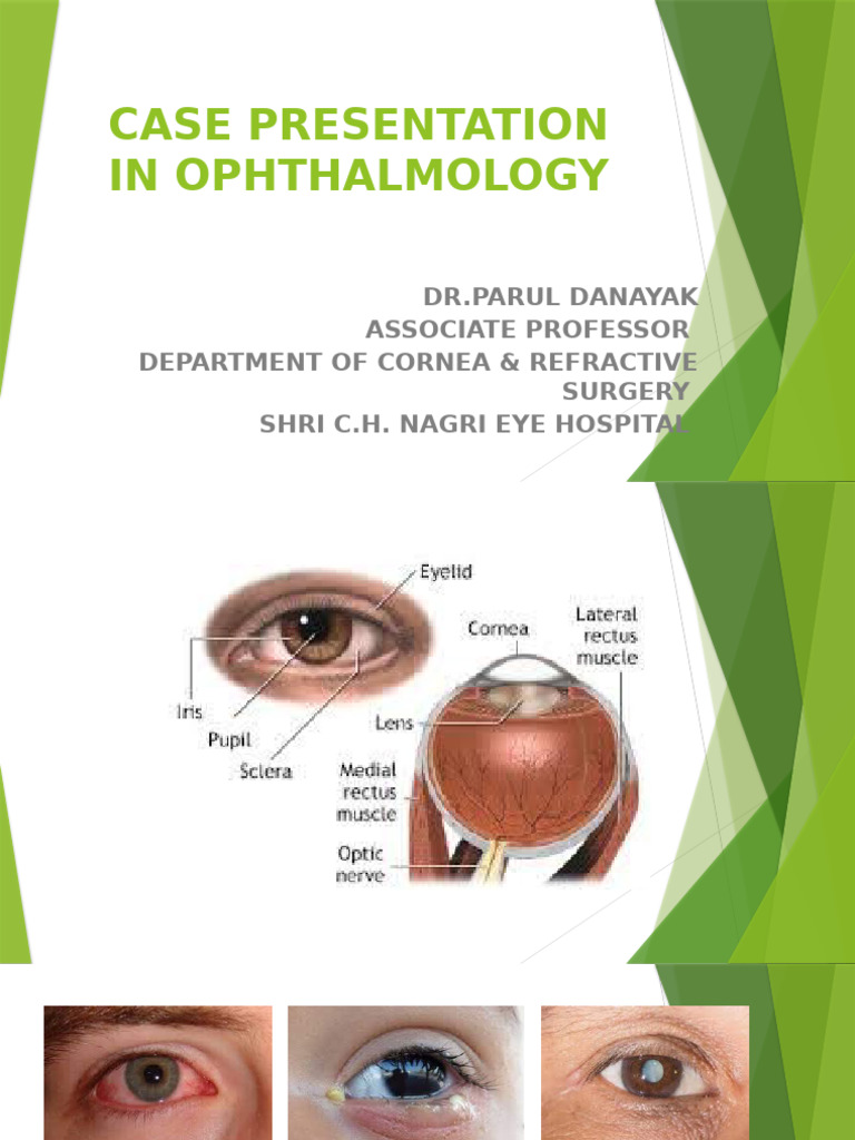 UG Programme 2024 AMA | PDF | Human Eye | Visual System