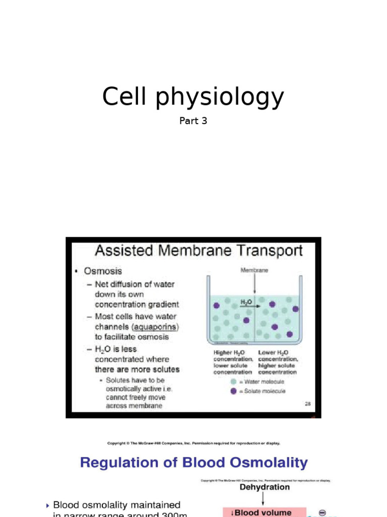 Presentation 3 Cell Phys | PDF