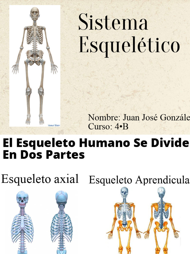 Presentations - A4 | PDF