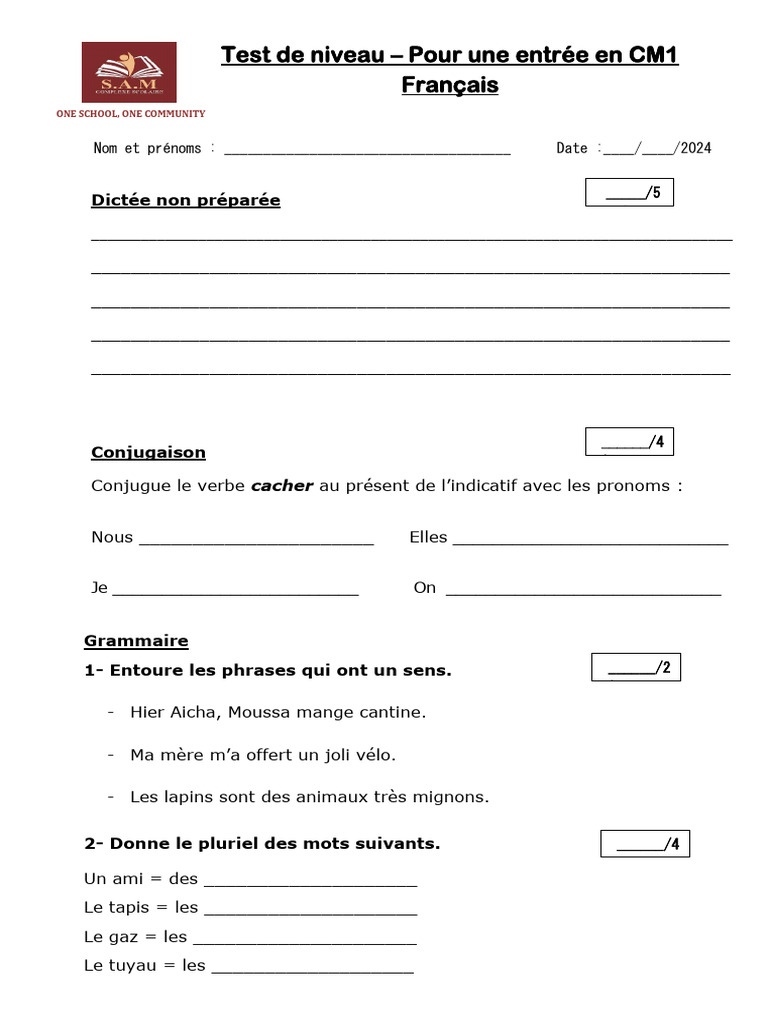 Test de niveau français CM1 | PDF | Linguistique