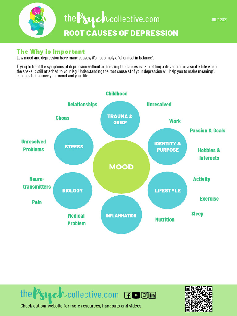 HANDOUT - Root Causes of Depression | PDF
