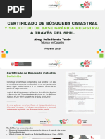 Manual del Visor BGR SUNARP | PDF | Sistema coordinado | Botón (Computación)