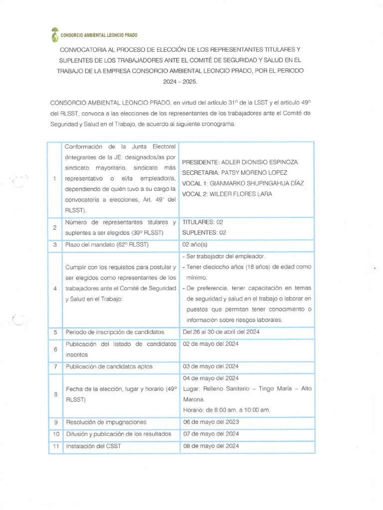 CONFORMACIÓN DEL CSST | PDF