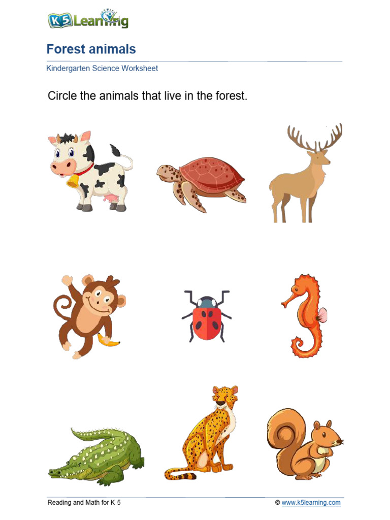 Forest Animals Worksheet K-5 | PDF