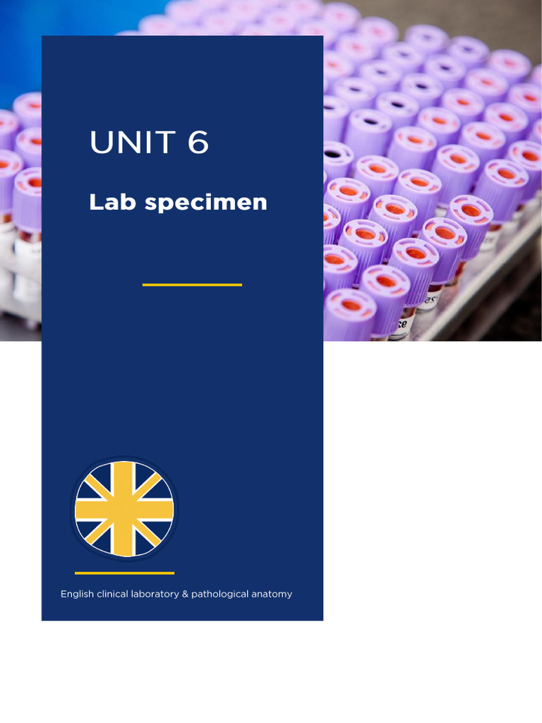 Unit 6 | PDF