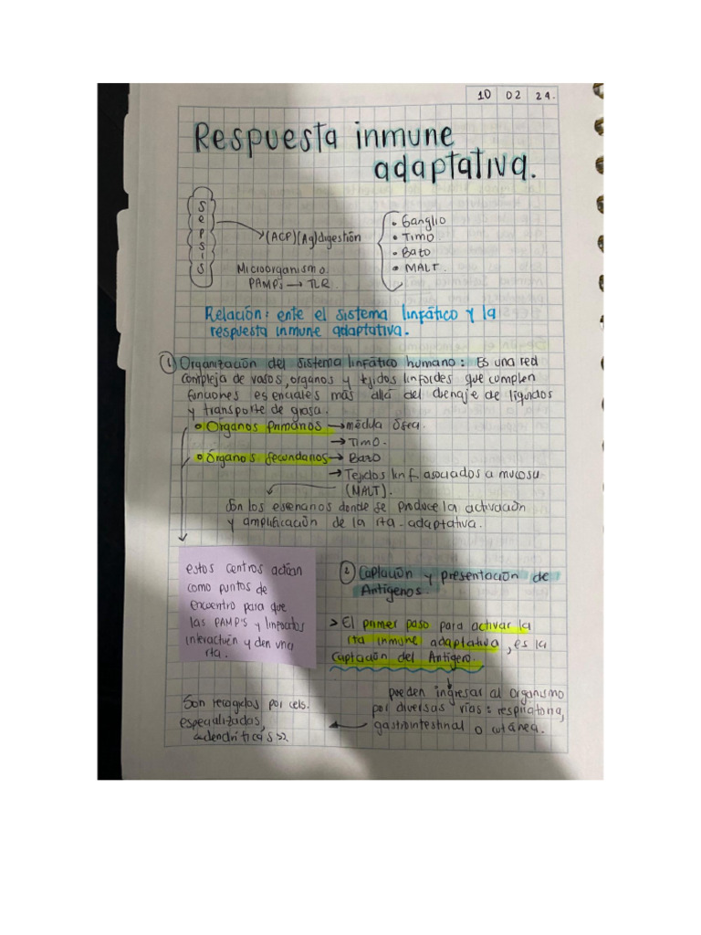 Resuemen Respuesta Inmune Adaptativa | PDF
