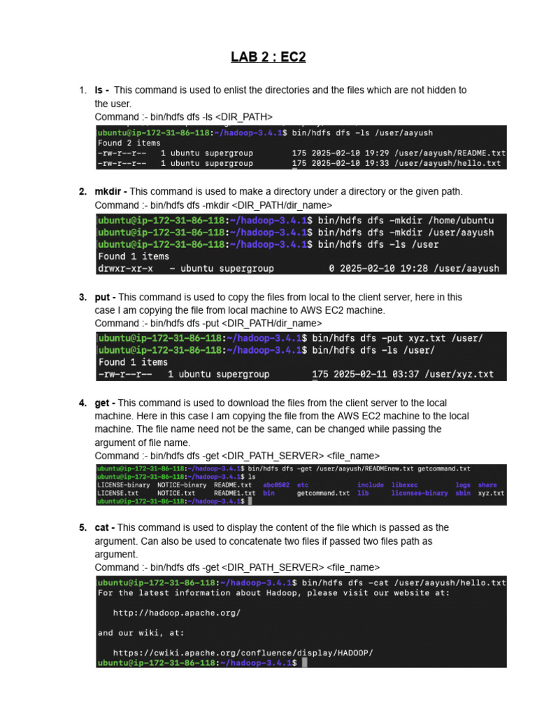 DSCI 551 _ Lab 2 _ Aayush Chamria (1) | PDF | Computer File | Directory (Computing)