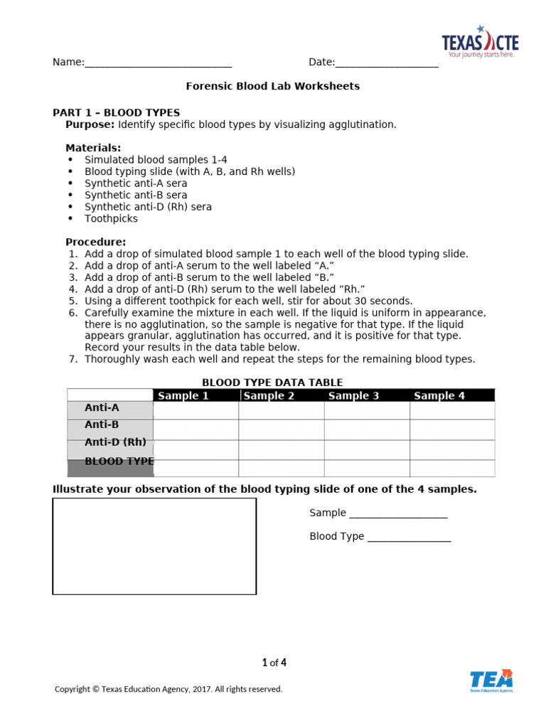 Forensic Blood Lab Worksheets | PDF | Blood Type
