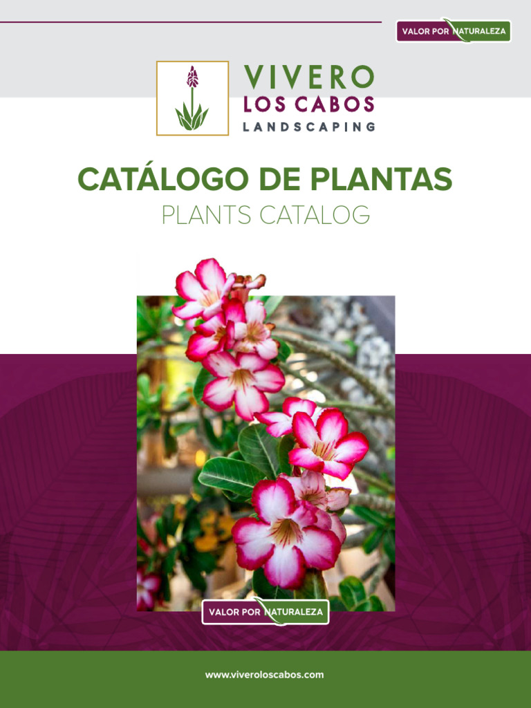 VLC Catalogo de Plantas 2021 | PDF | Arecaceae | Plantas de jardín