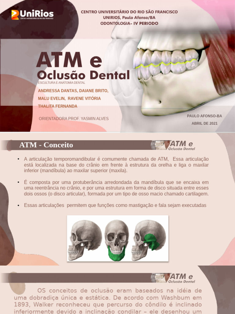 ATM e Oclusão Dental - Anatomia Dental - Yasmin | PDF | Dente humano ...